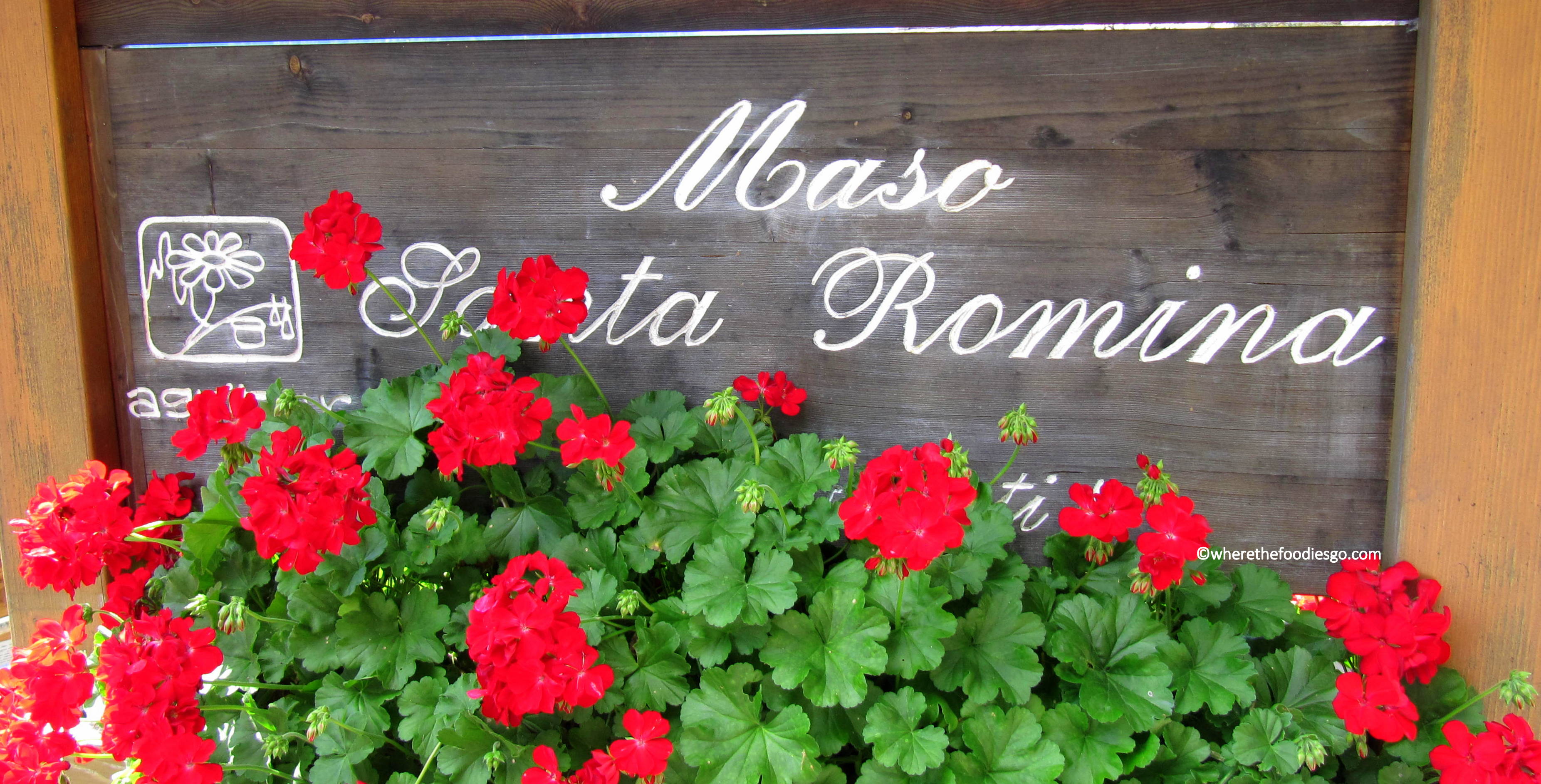 Piccoli frutti e grandi piatti: benvenuti al Maso Santa Romina! – Where ...